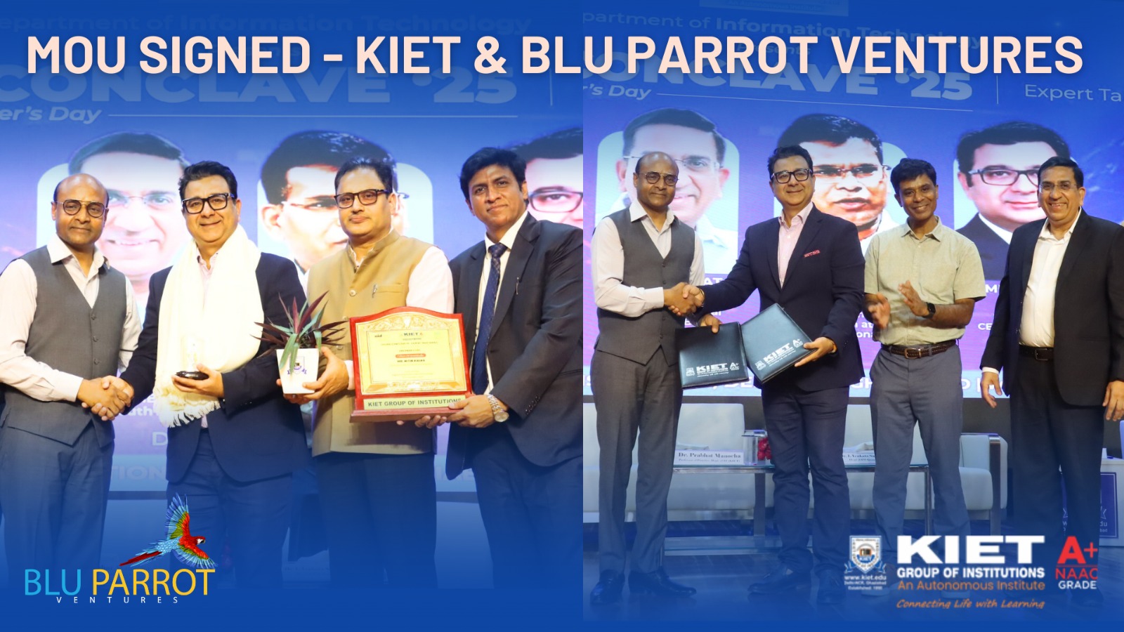 Blu Parrot